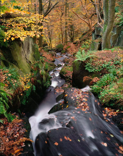 Joe Cornish | Hardcastle Crags L On Landscape