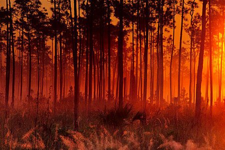 Galen Rowell | Master Photographer | On Landscape