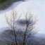 Shinzo Maeda | Master Photographer | On Landscape
