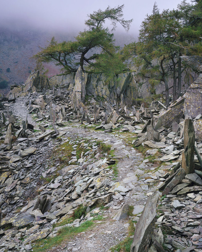 Featured Photographer - Tim Parkin - On Landscape
