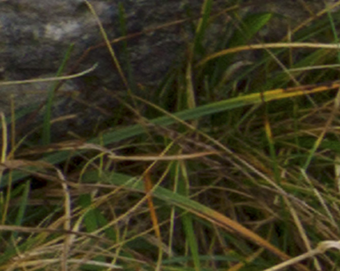 Camera Colour - First Tests | On Landscape