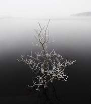 Robert Birkby | On Landscape
