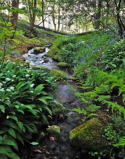 Robert Birkby | On Landscape