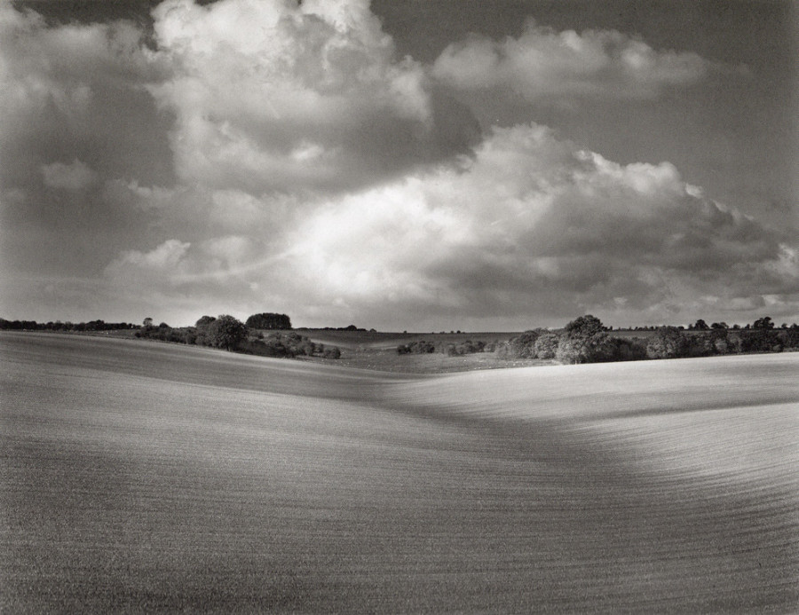 Issue Two Hundred and Ninety Nine | On Landscape
