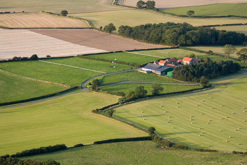 hambleton fields, water beck farm - sharp | On Landscape