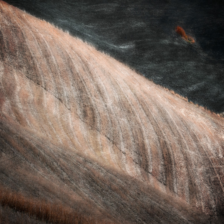 Striped Landscape | On Landscape