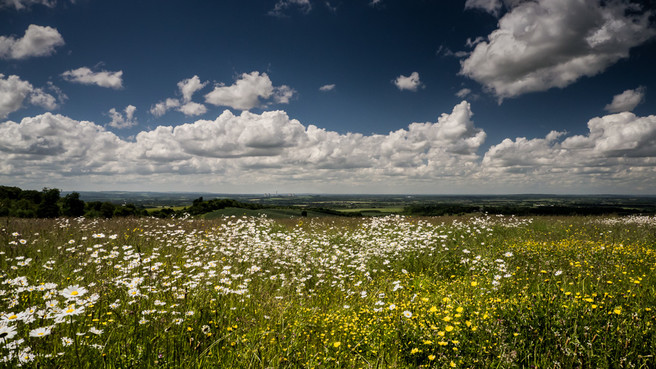 Thames Valley Landscape | Martyn James Bull | On Landscape