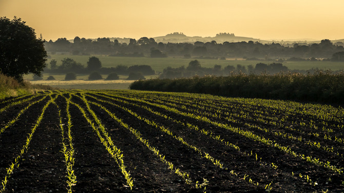 Thames Valley Landscape | Martyn James Bull | On Landscape