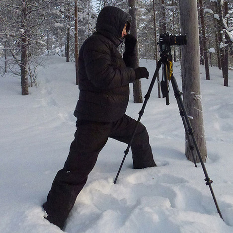 End frame: Ash tree, Balmacara by Colin Prior | On Landscape