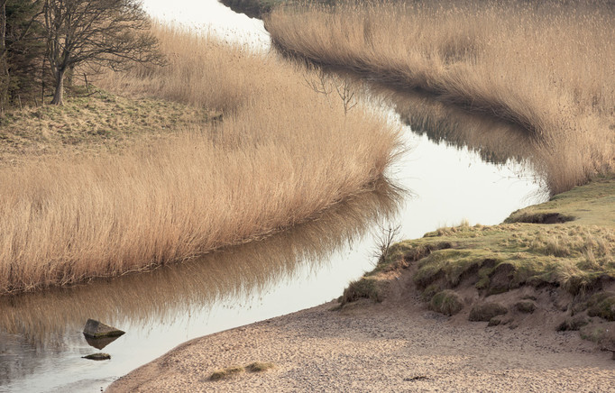 Dylan Nardini | Featured Photographer | On Landscape