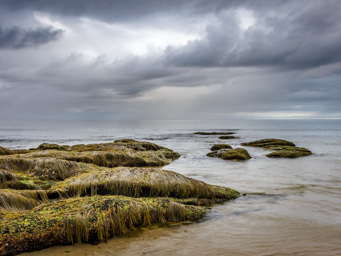Clashach Cove | Jim Robertson | On Landscape