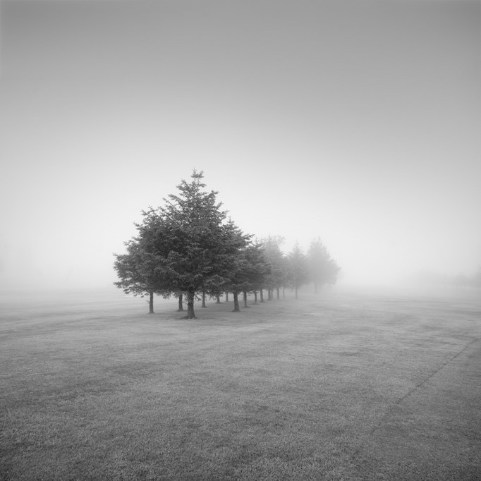 Rohan Reilly | Featured Photographer | On Landscape