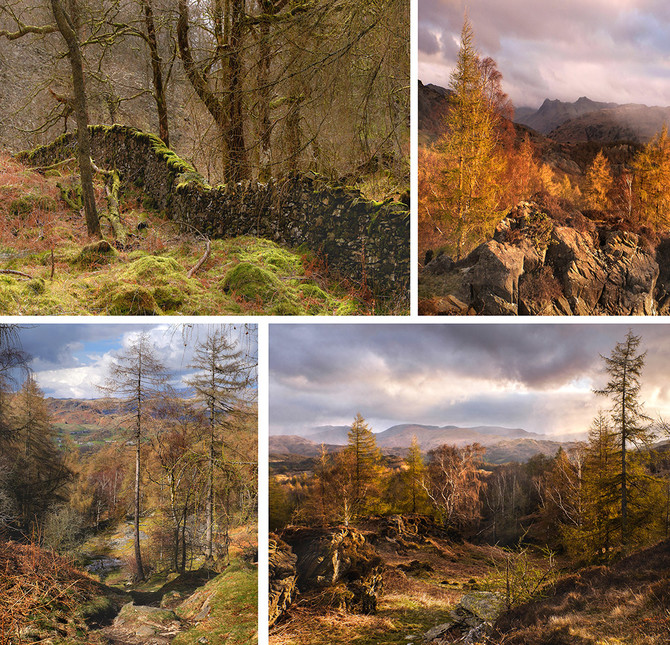 New Venture | Matt Lethbridge | On Landscape