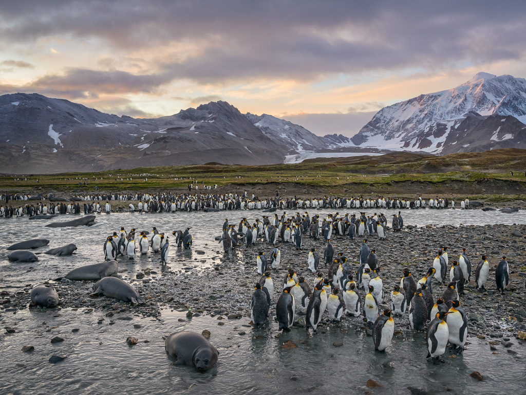 5-st-andrews-bay | On Landscape