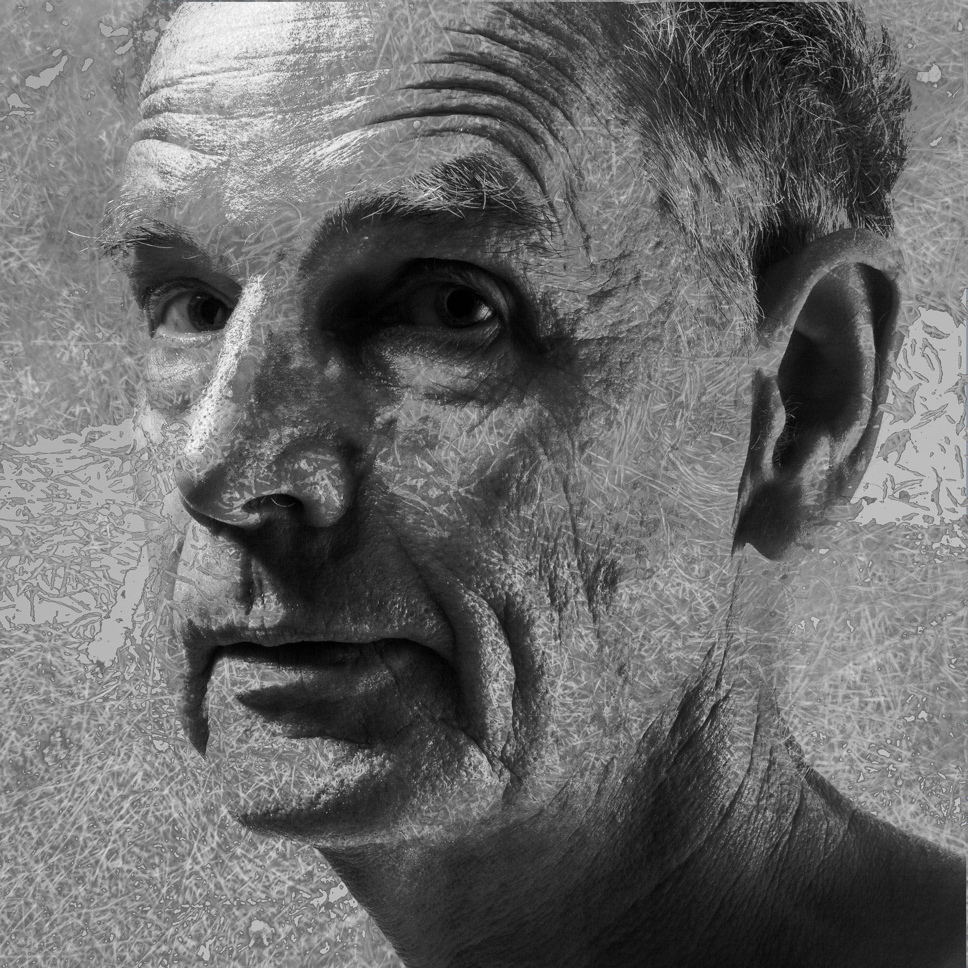 Subscribers Landscape Portfolios | Issue 131 | On Landscape