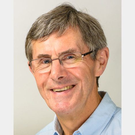 Tree Vision by Sandra Bartocha | On Landscape