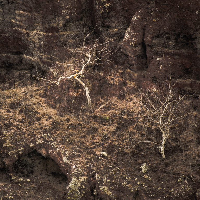 The Galápagos Islands | Kenneth Meijer | On Landscape
