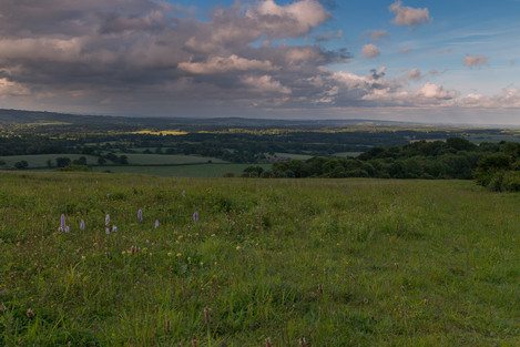 Bepton Down | Elke Epp | On Landscape
