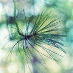 Jane Simmonds | Featured Photographer | On Landscape