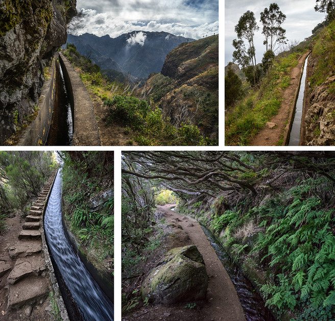 Steve Gledhill | Levadas of Madeira | On Landscape