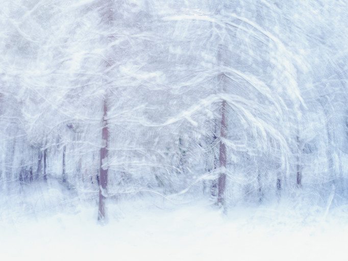 snowswirl | On Landscape