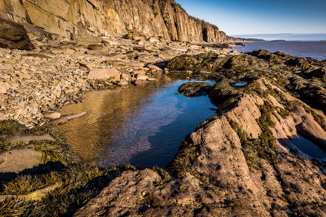 Martial Comeau | Shepody Bay | On Landscape