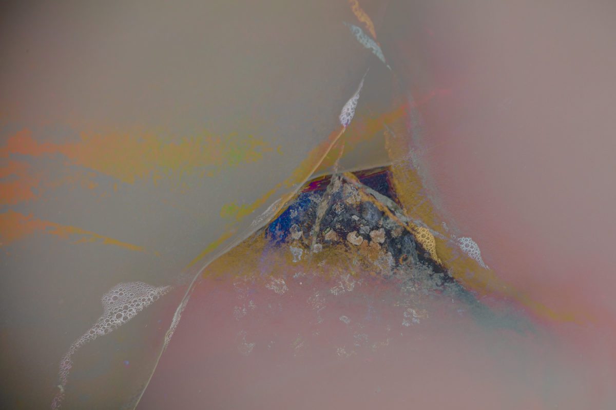 Valda Bailey | On Landscape