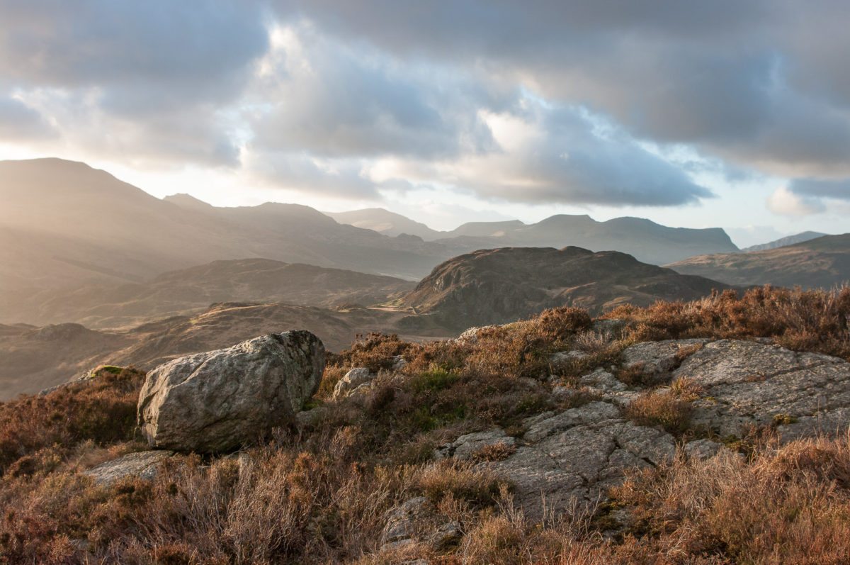 Anthony Shaughnessy | Cwm Bychan | On Landscape