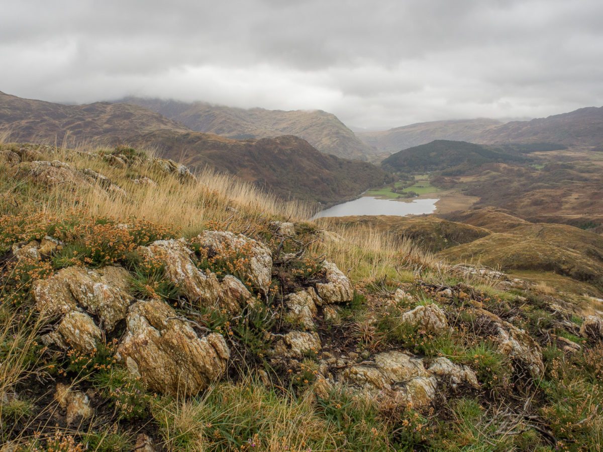 Anthony Shaughnessy | Cwm Bychan | On Landscape