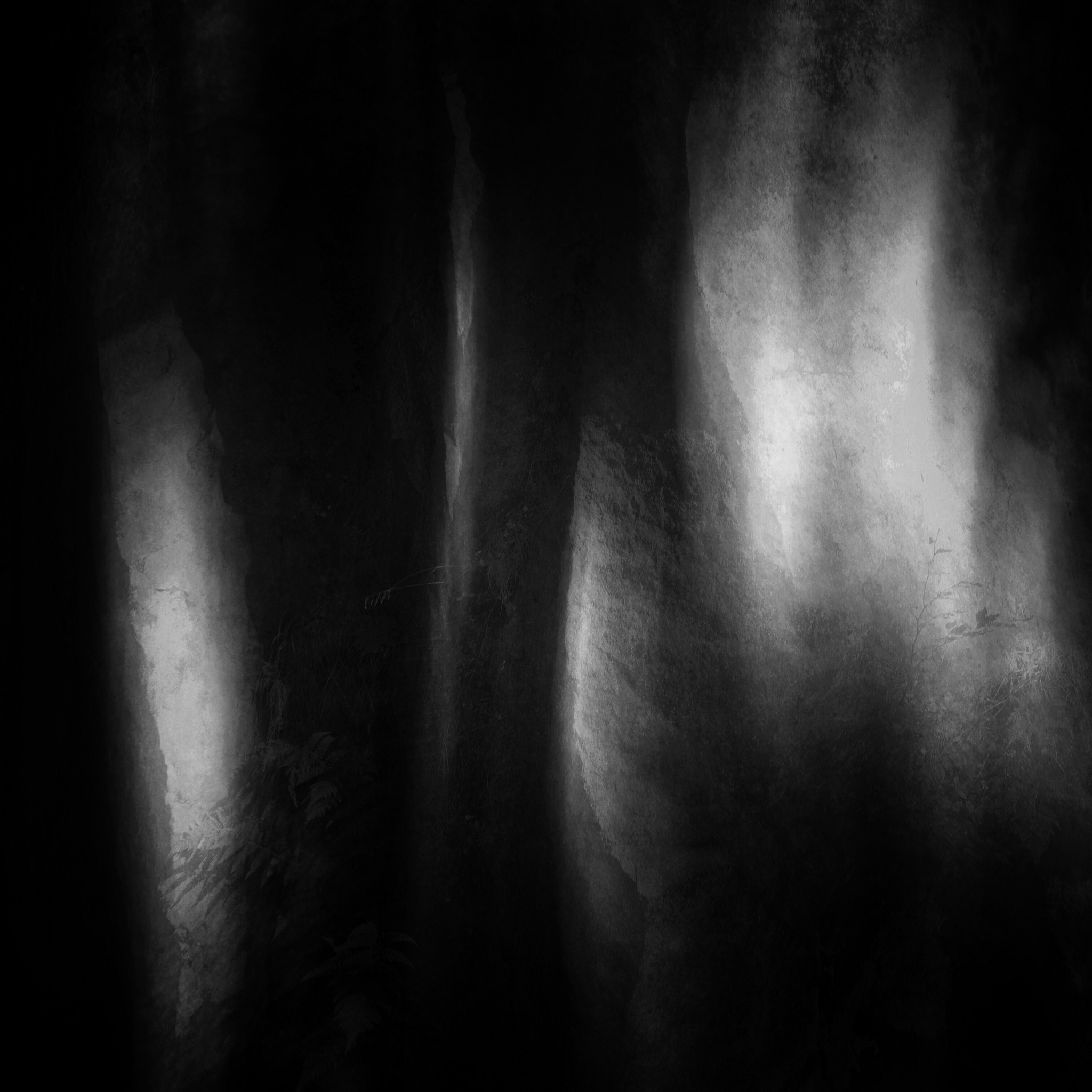 Unknown Known V | On Landscape