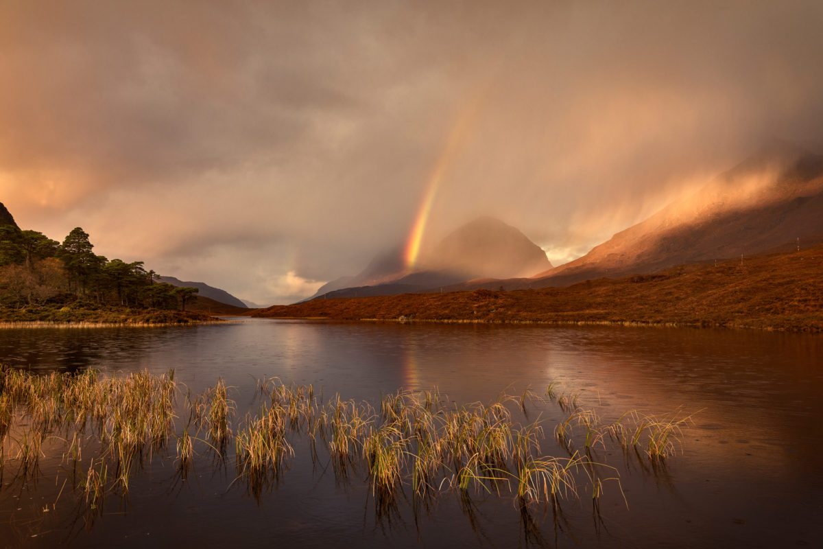 nigel_morton_003 | On Landscape