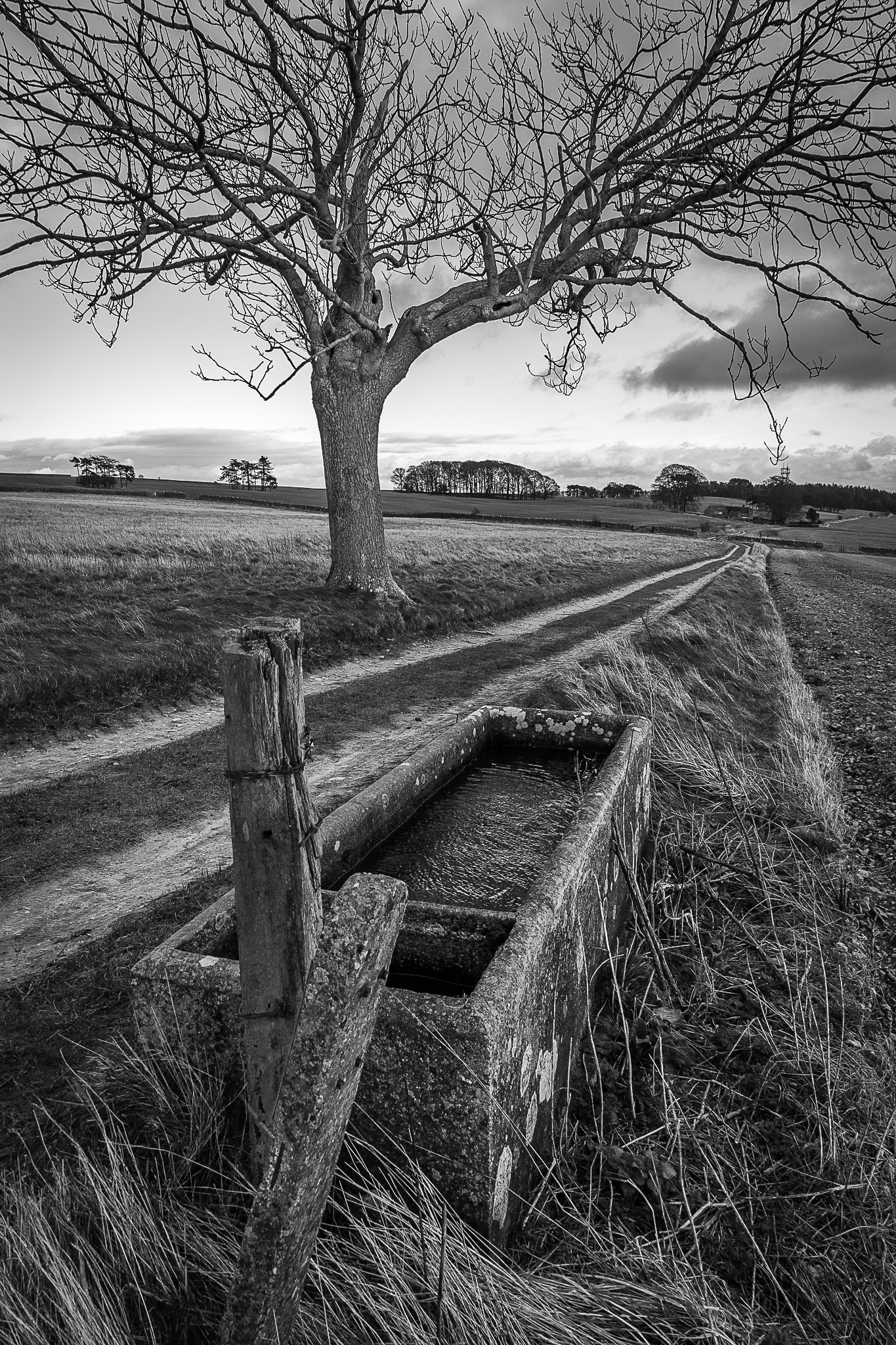 Steve Gledhill - Bredon Hill 2 | On Landscape