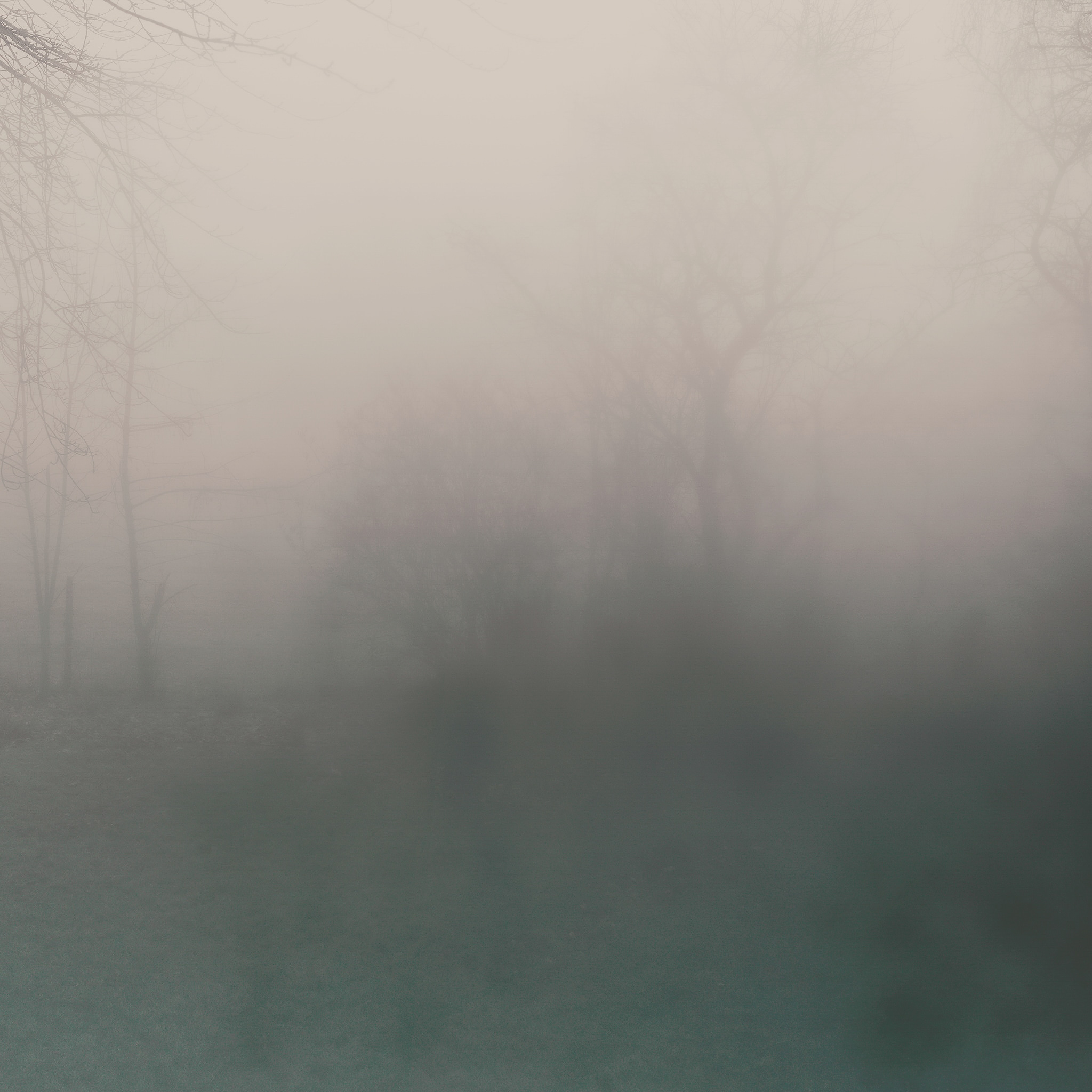 Pascal Lienard - Permanence and mutations of the landscape 6-2 | On ...