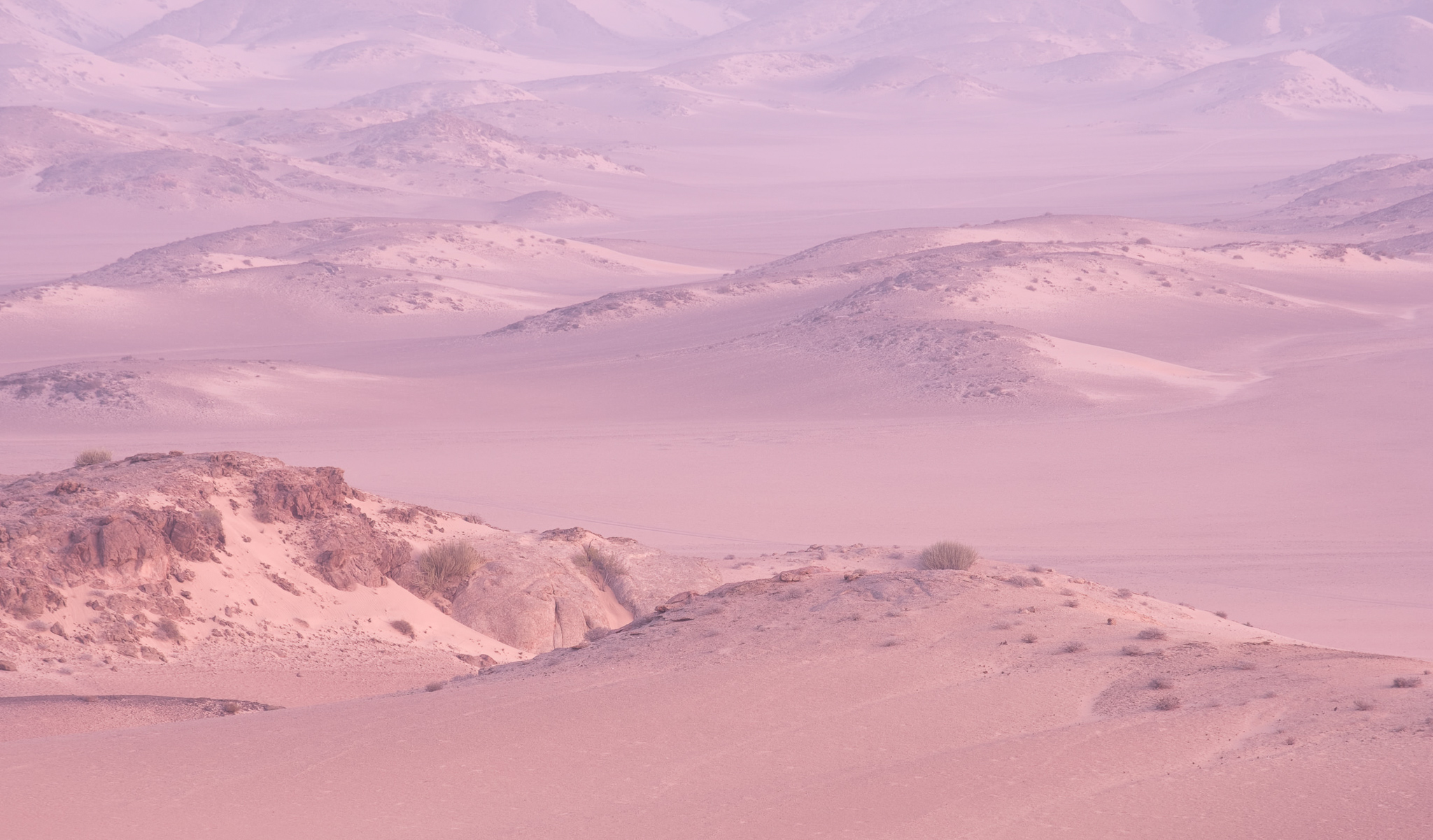 Rafael Rojas - Liquid Photography 4 | On Landscape