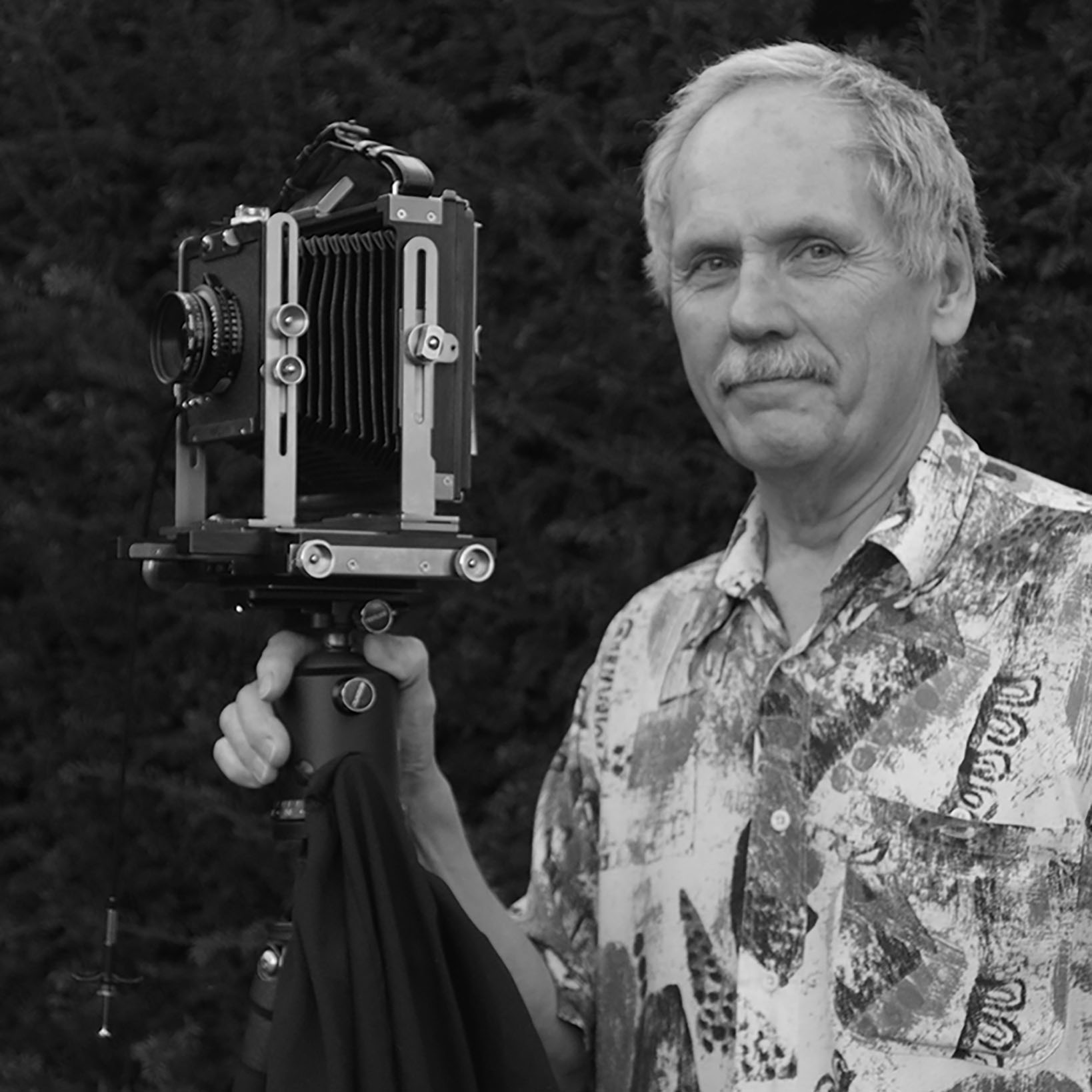 Rod Bennington | Floral Portraits Exhibition | On Landscape