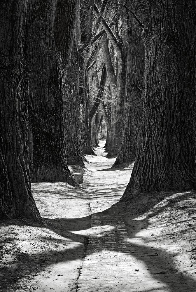 Alexandra Wesche | Escher's Dream | On Landscape