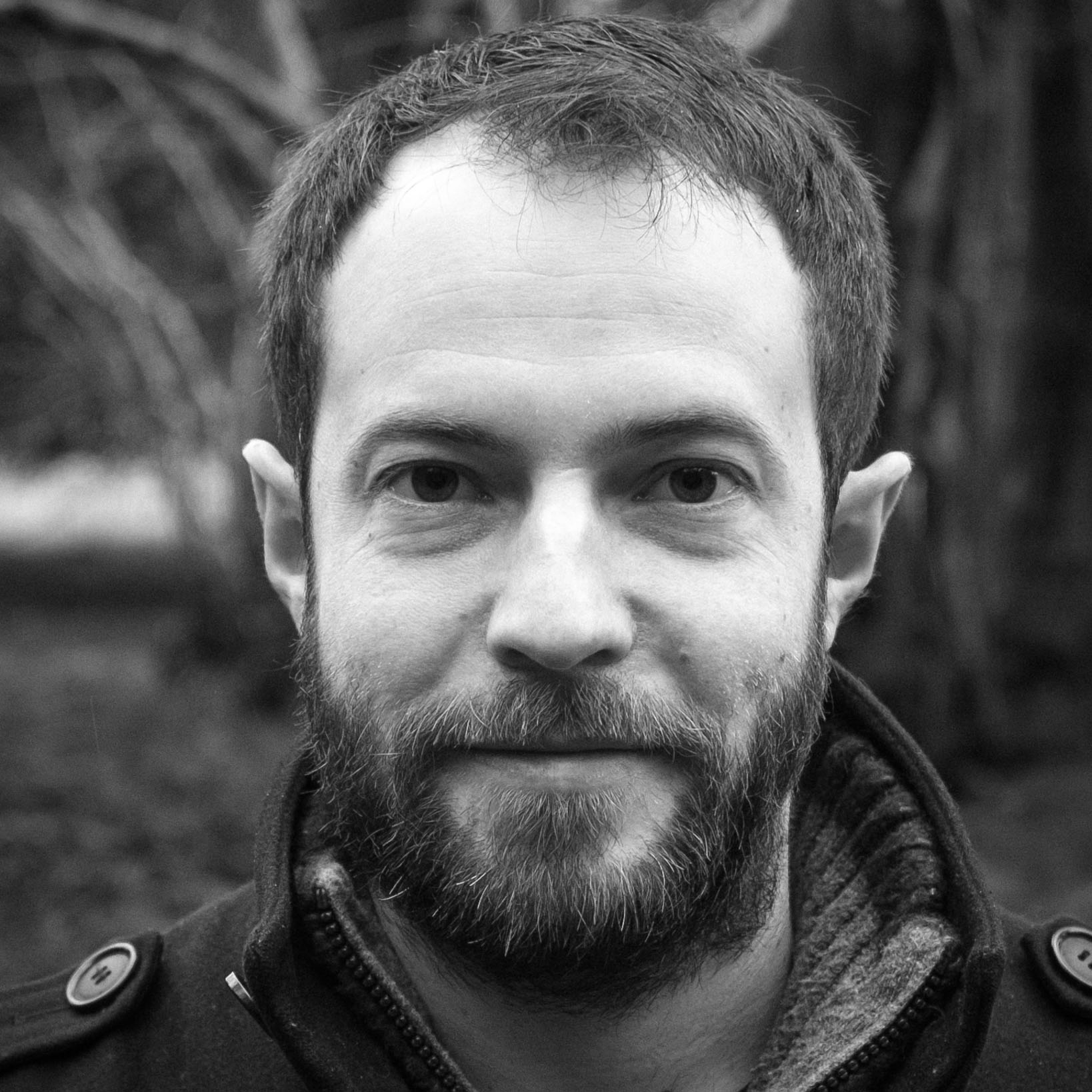 Dark Woods | Chris Dale | On Landscape