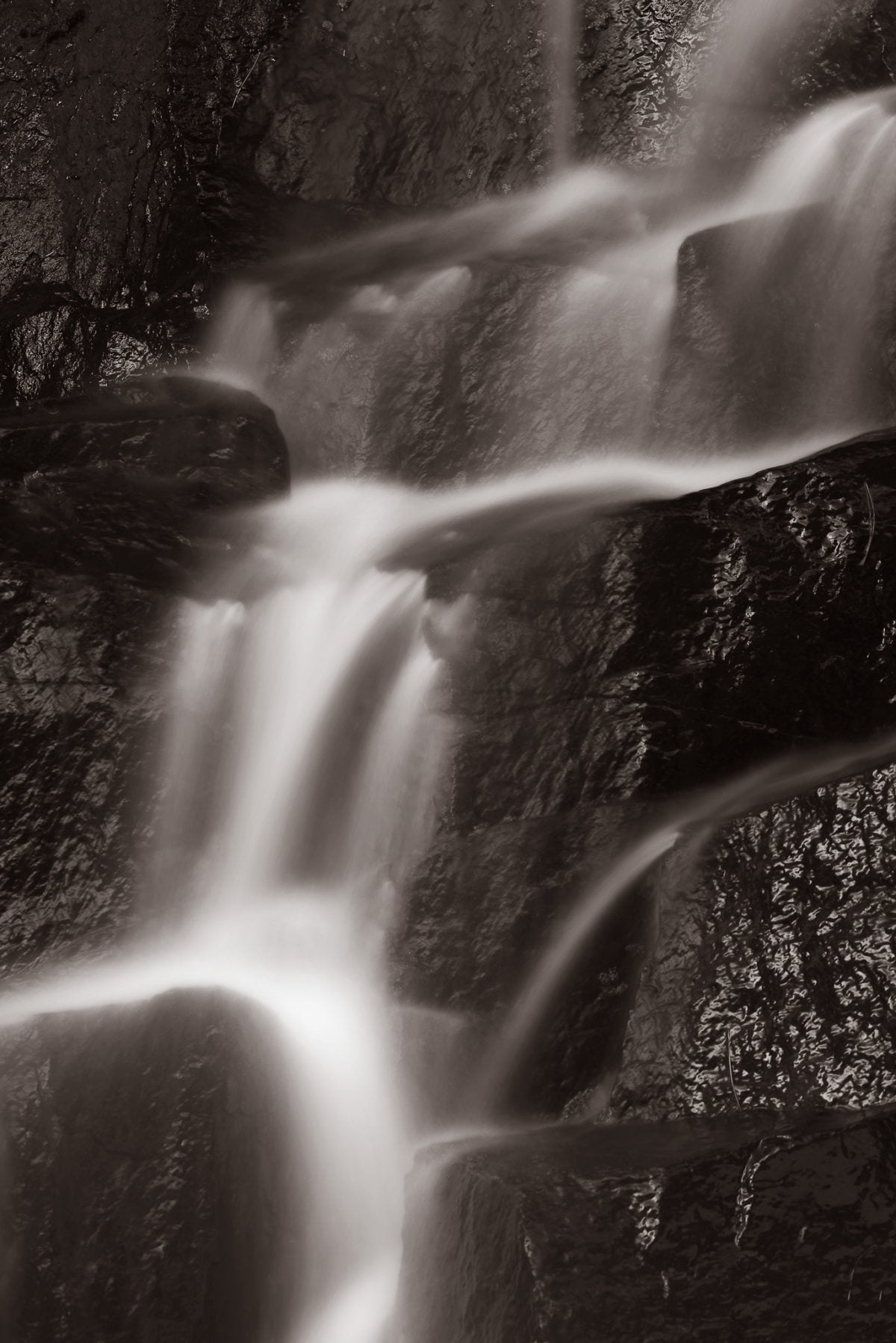 Building a life as a full-time nature photographer | On Landscape