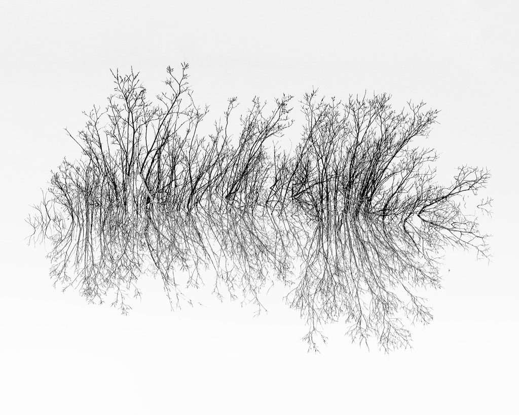 Thomas Fleckenstein - 11-1024px | On Landscape