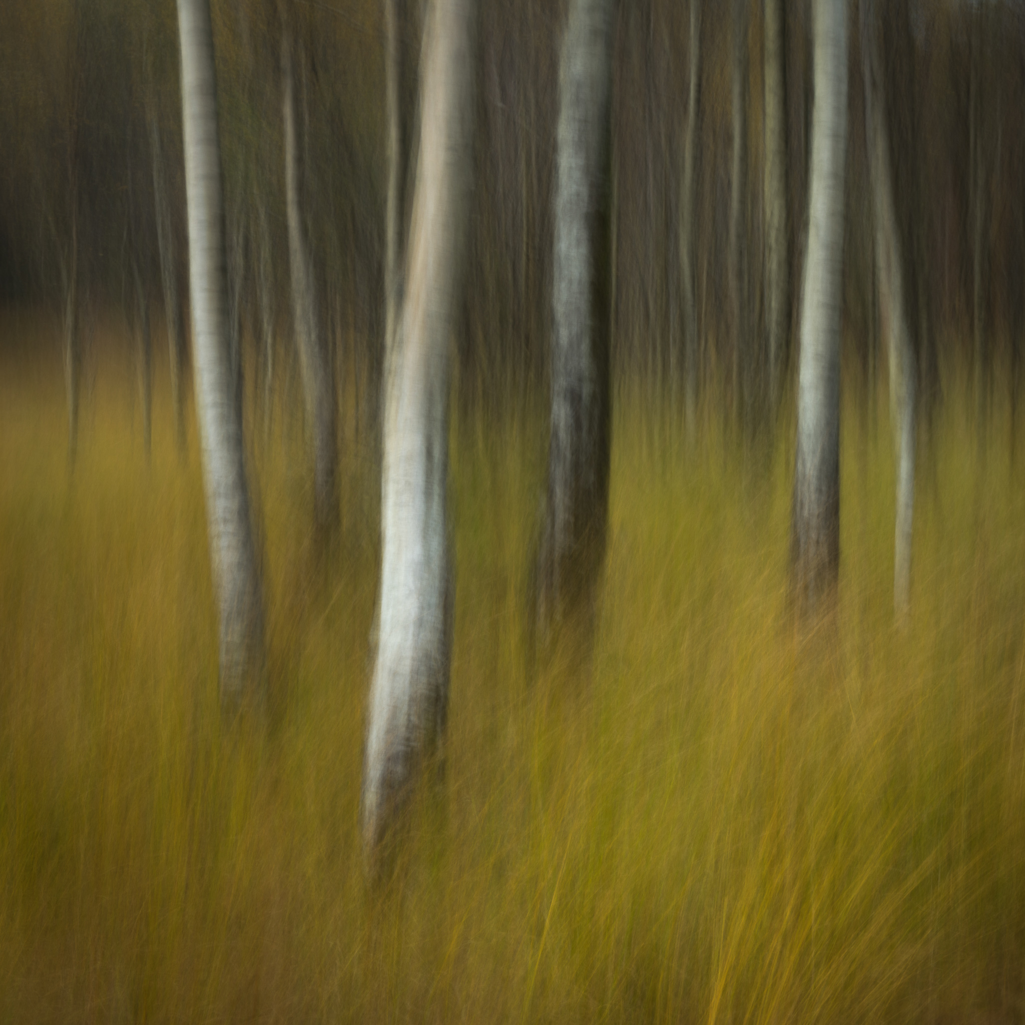 1x1 | On Landscape