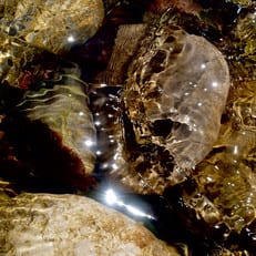 Physics of Caustic Light in Water & Photography | On Landscape