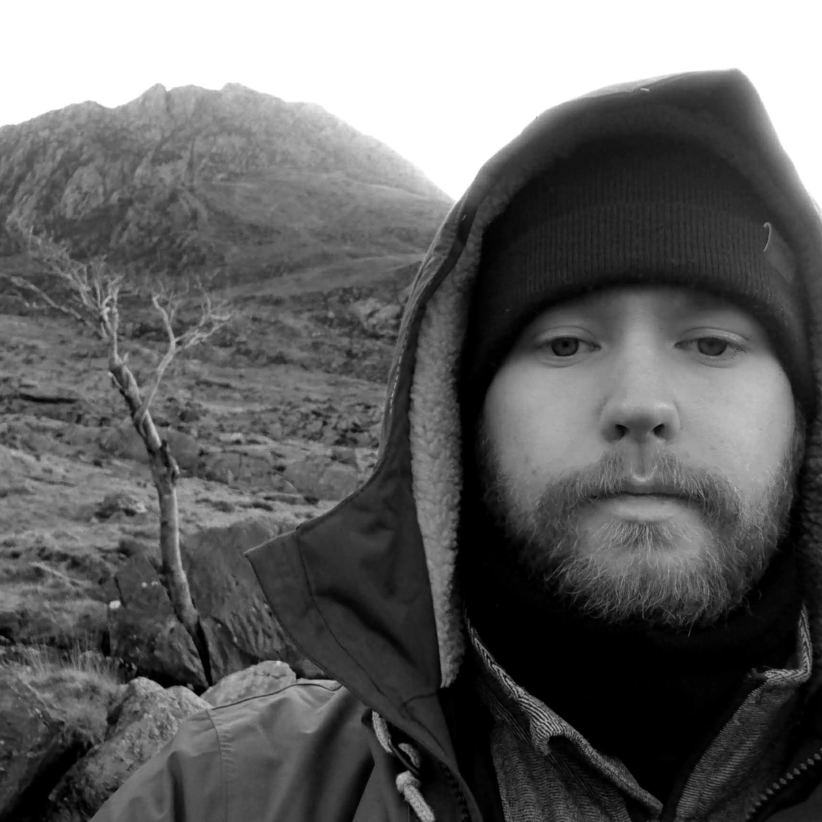 Daniel Wheeler | Elements | On Landscape