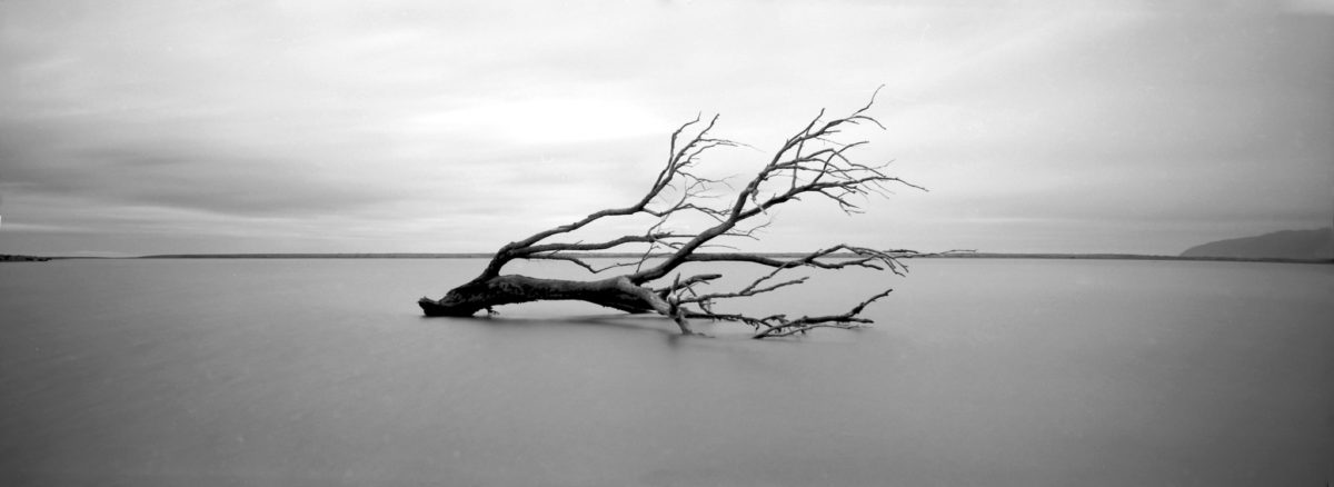 Tim Prebble | Wanders with my XPAN | On Landscape