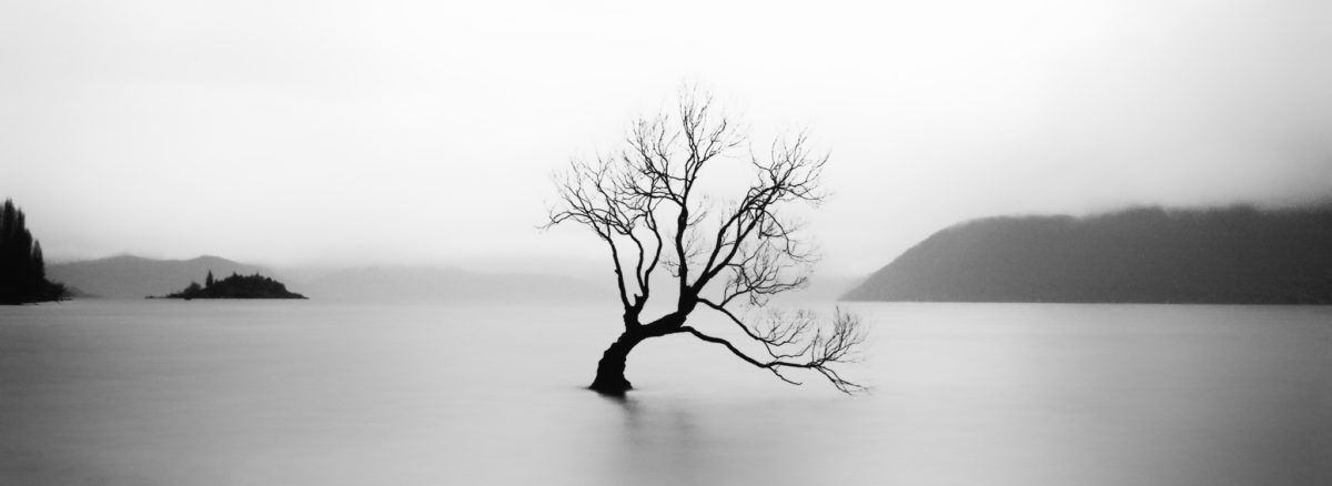 Tim Prebble | Wanders with my XPAN | On Landscape