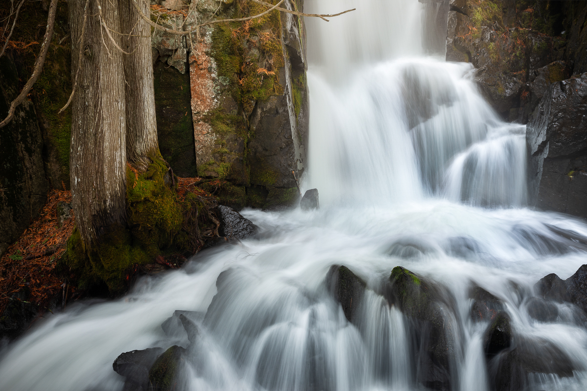 Bottom of Falls and Trees | On Landscape