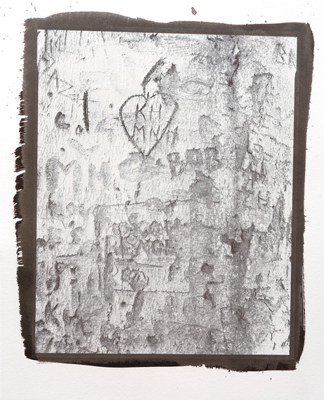 David Fearn | Acontius Project | On Landscape