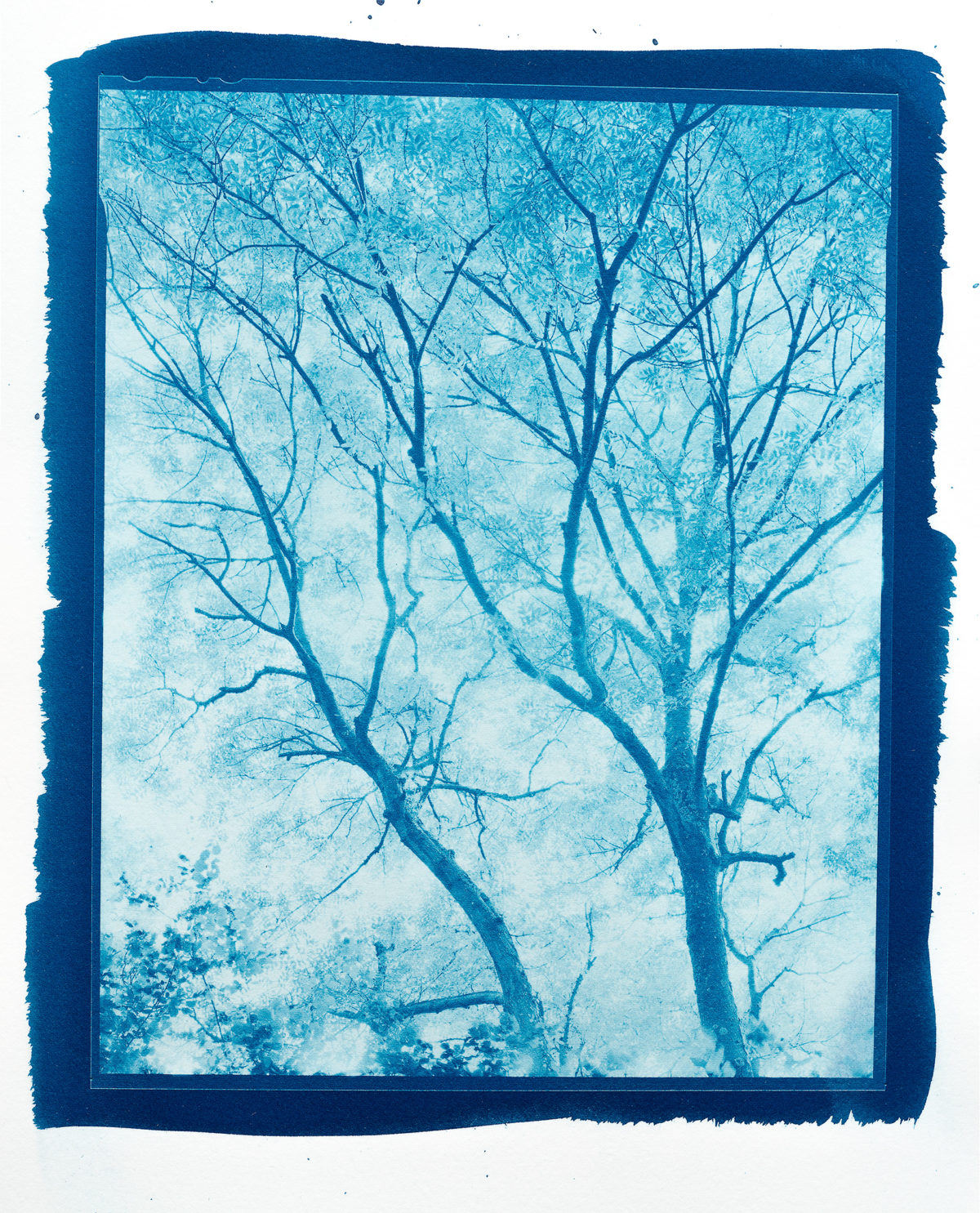 David Fearn | Acontius Project | On Landscape