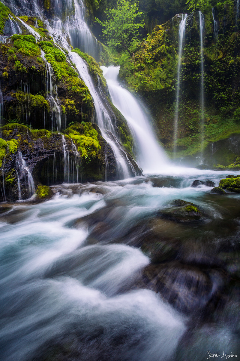 Portrait of Cascadia | On Landscape