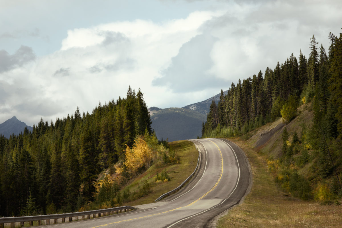 Goran Prvulovic | Alberta Highway #40 | On Landscape