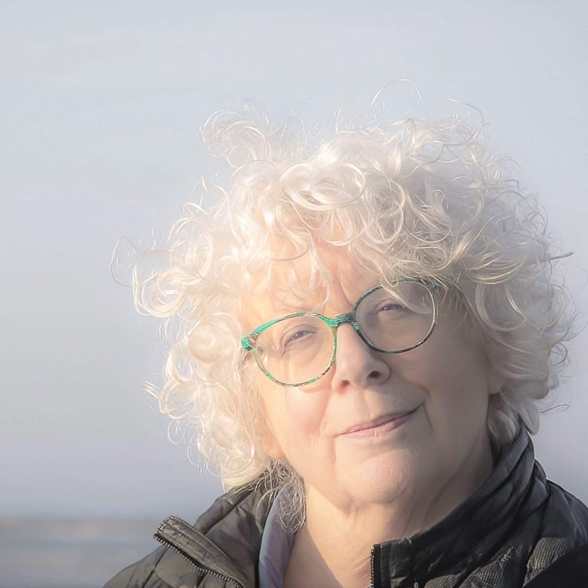 End frame: Winter Morning by Theo Bosboom | On Landscape